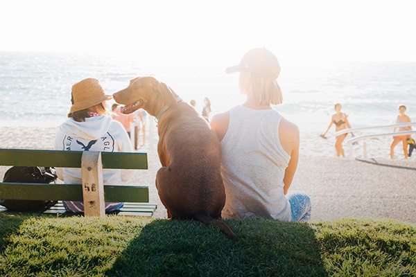 Destinations | City | Perth