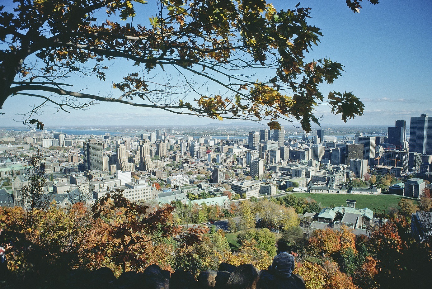 Study International Business Management in Montréal! - Greystone College